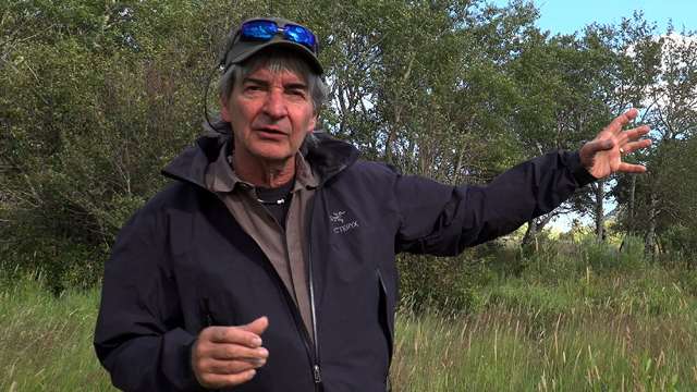 A WALK IN THE PARK WITH NICK MOLLÉ: NATURE OF THE BEASTS | American ...