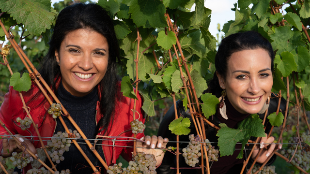 WINE FIRST | American Public Television