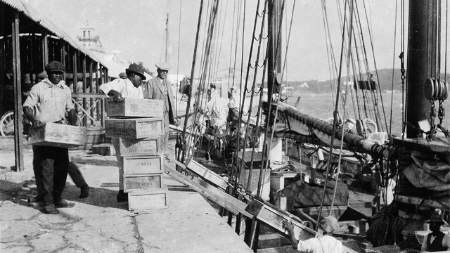 THE REAL MCCOY | American Public Television