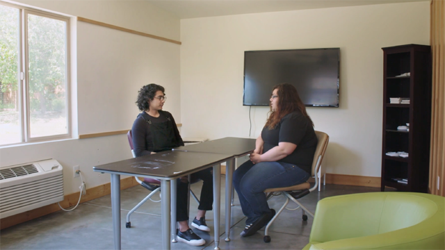 UNADOPTED | American Public Television